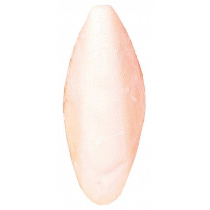 Sepiová kost 6-12cm – Obchodní centrum Reiterman